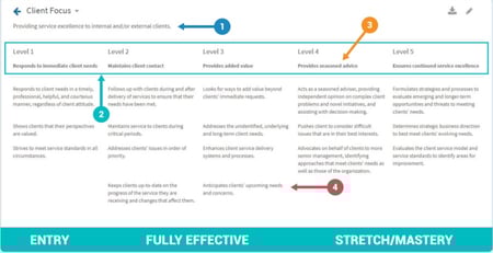 Your Best Practice Guide for Implementing Competencies