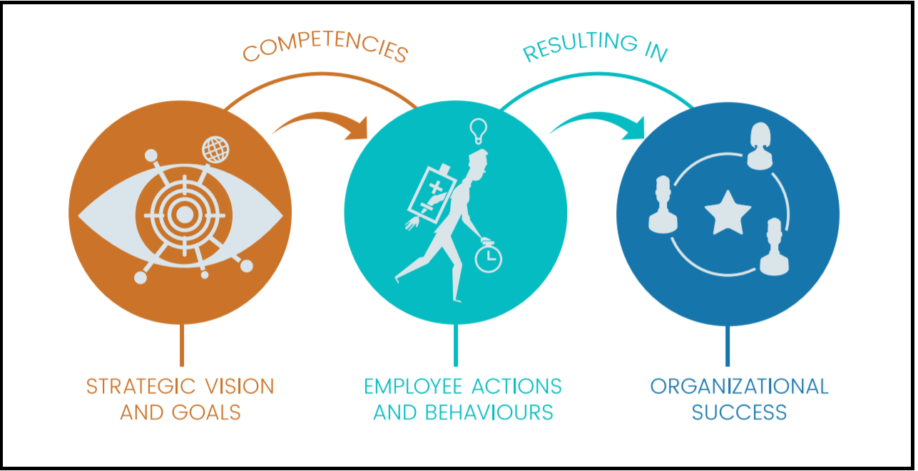 What’s The Difference Between Skills and Competencies?