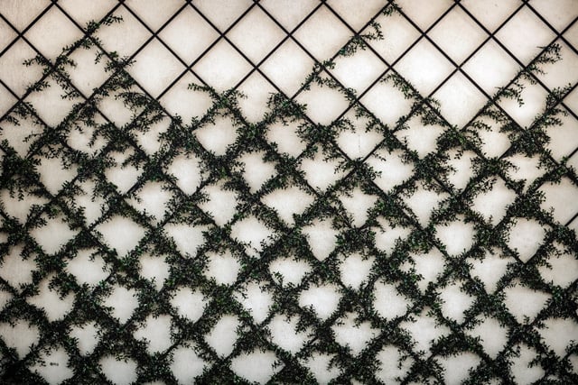 Career Lattices: A New Approach to an Old Challenge